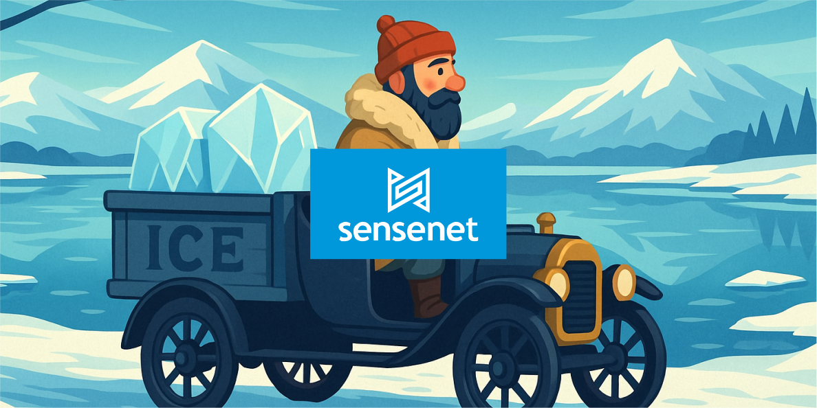 The Digital Iceman - Sense/Net